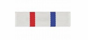 Color Guard – NJROTC